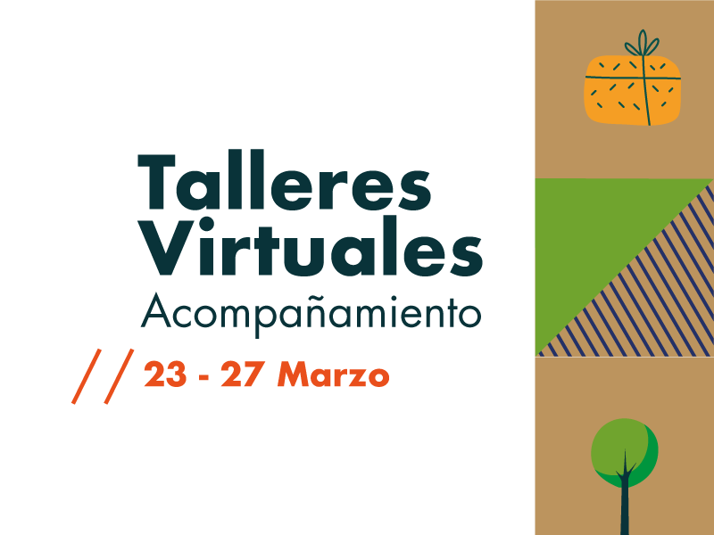 Talleres Virtuales De Acompañamiento Del 23 Al 27 De Marzo